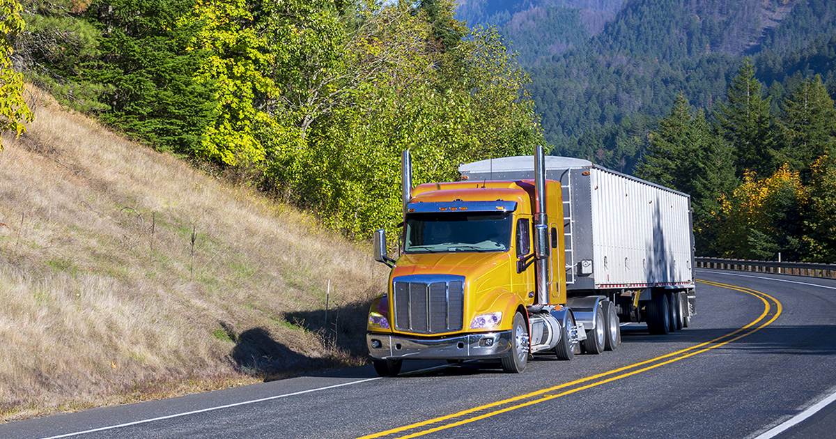 CDLIS Records | StarPoint Screening